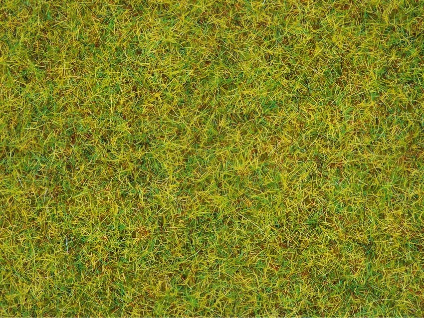 Scatter Grass Summer Meadow from Hobbyrama