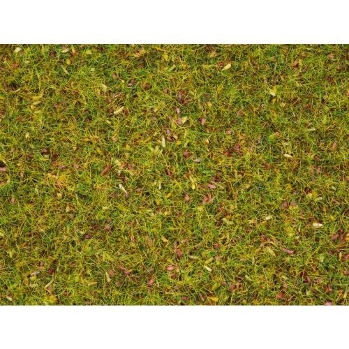 Scatter Grass Flowering Meadow from Hobbyrama