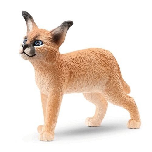 Caracal Baby from Hobbyrama